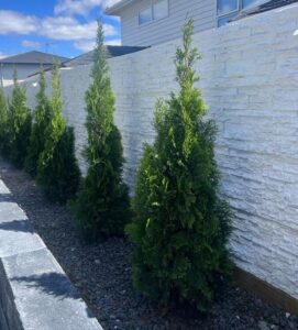 Stackstone - White - Pyramid Panels