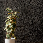 RockPanel - Pyramid Panels